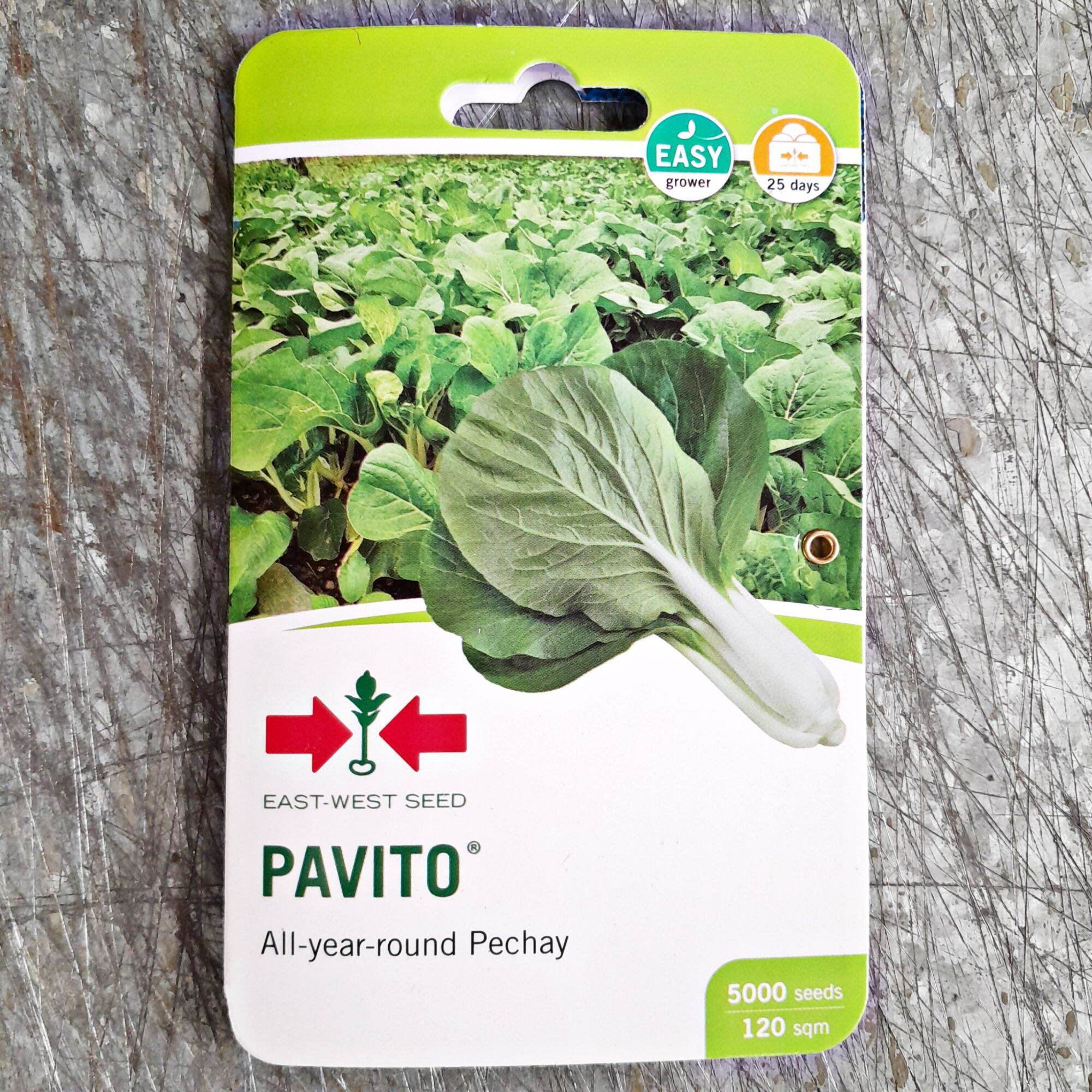 PAVITO OPV PECHAY SEEDS (5000 SEEDS) PETCHAY by EAST WEST | Lazada PH