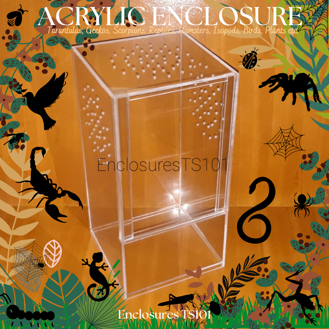 Acrylic Enclosures Box Cage for Tarantula, Reptiles, Geckos, Birds ...
