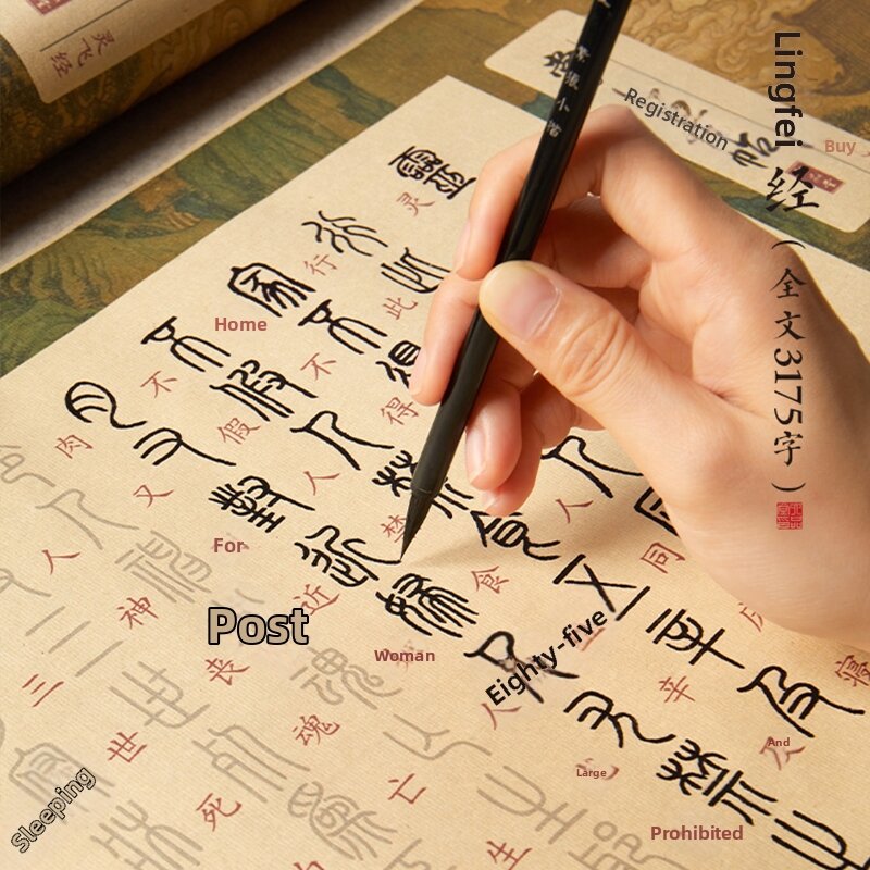 Adult Beginners Small Seal Script Red Copy Practice Booklet Calligraphy ...