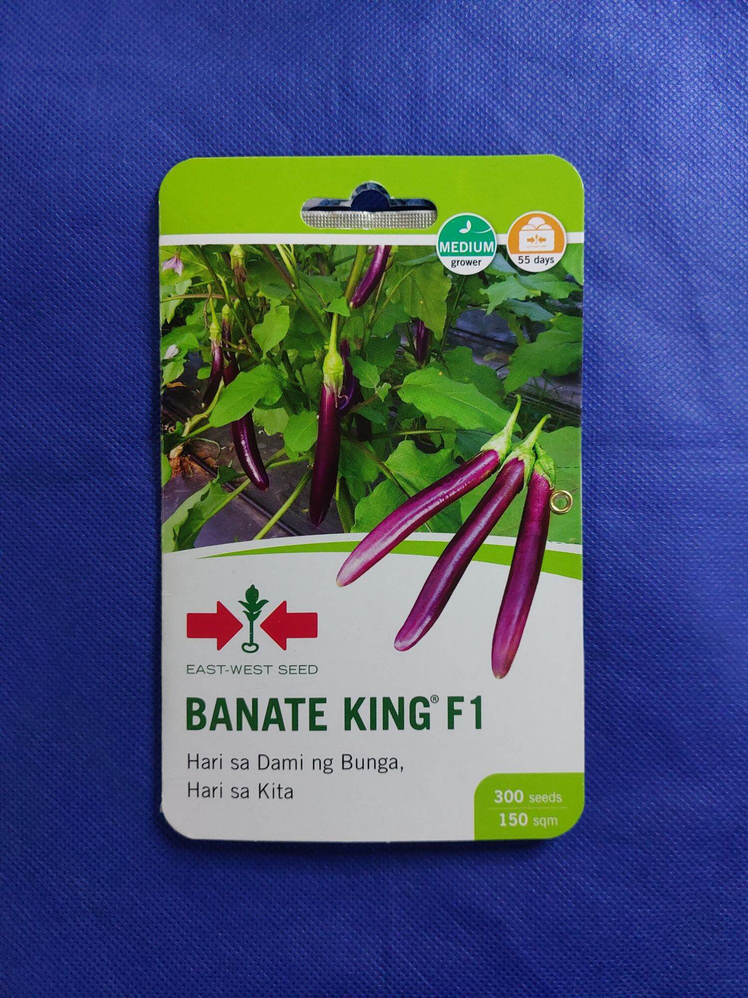 Banate King F1 (300 seeds) Hybrid Eggplant / Talong by East Seed ...