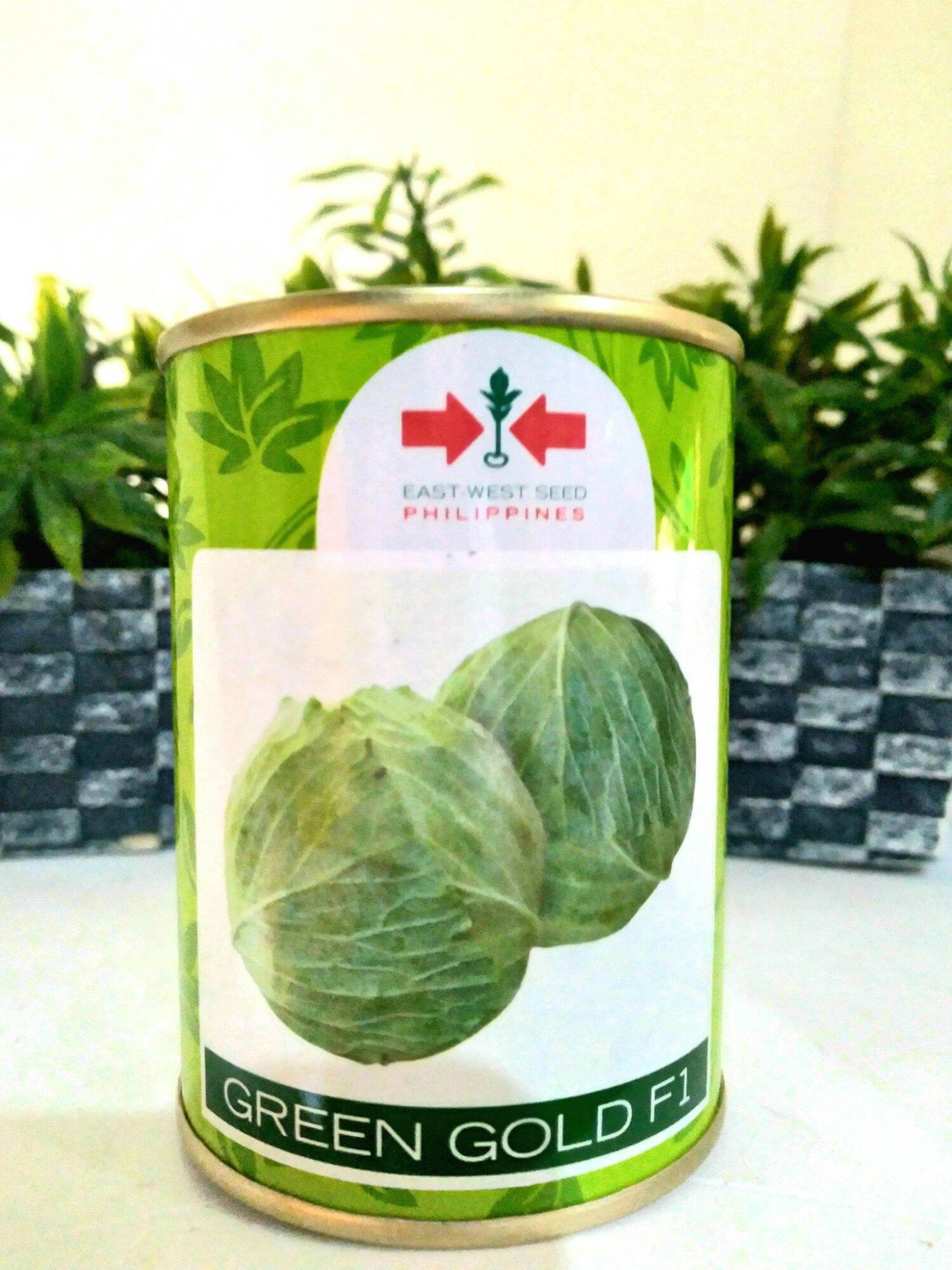 Green Gold F1 Cabbage East West Seed (50gms) | Lazada PH