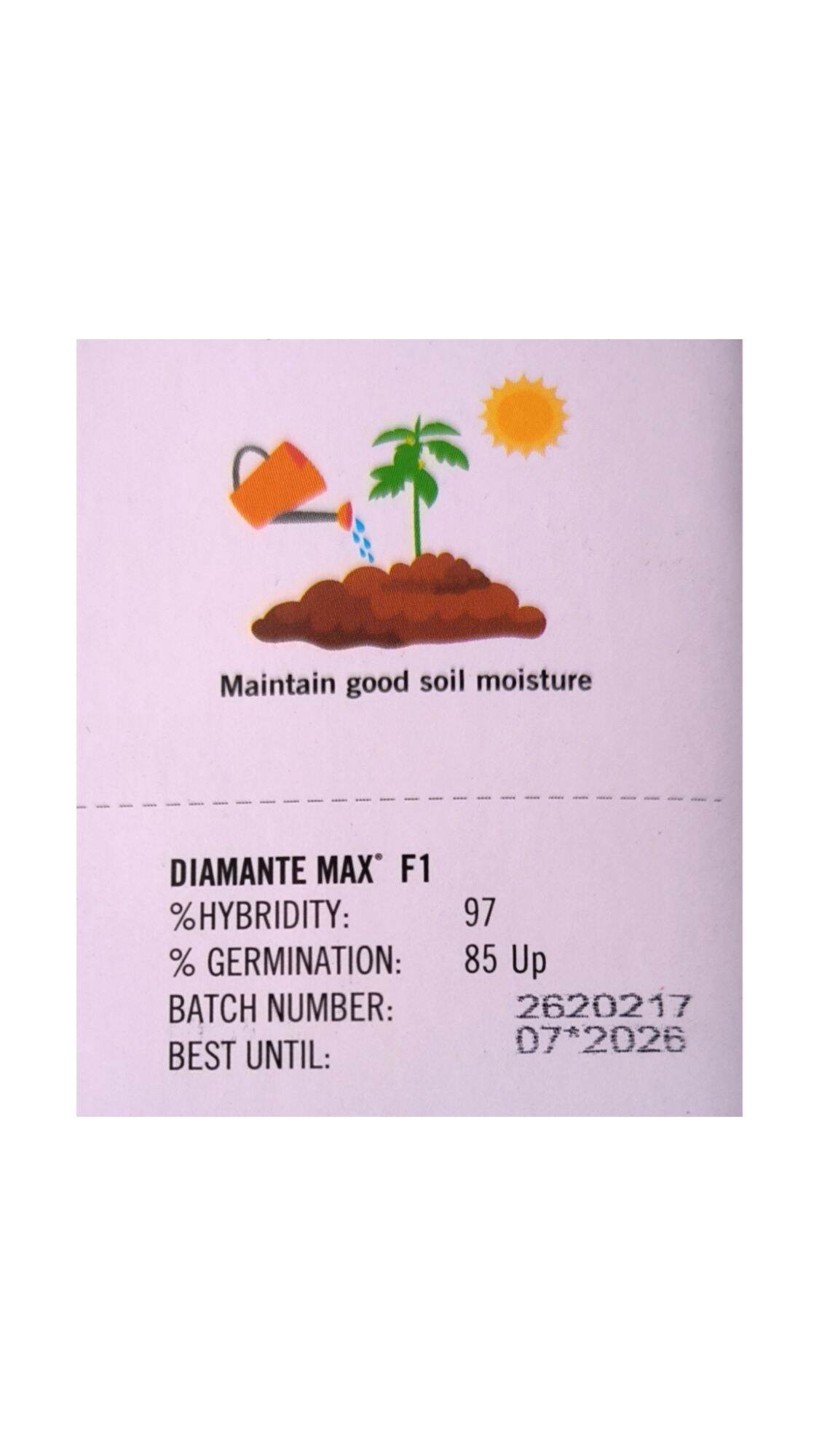 Diamante Max F1 Sachet Hybrid Tomato | Lazada PH