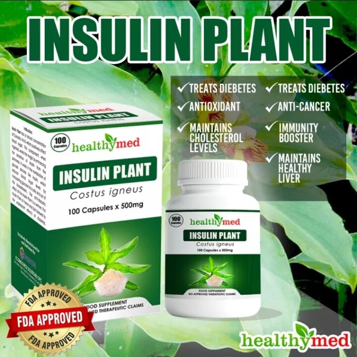 INSULIN PLANT Food Supplement - Authentic HEALTHYMED 100 capsules × ...