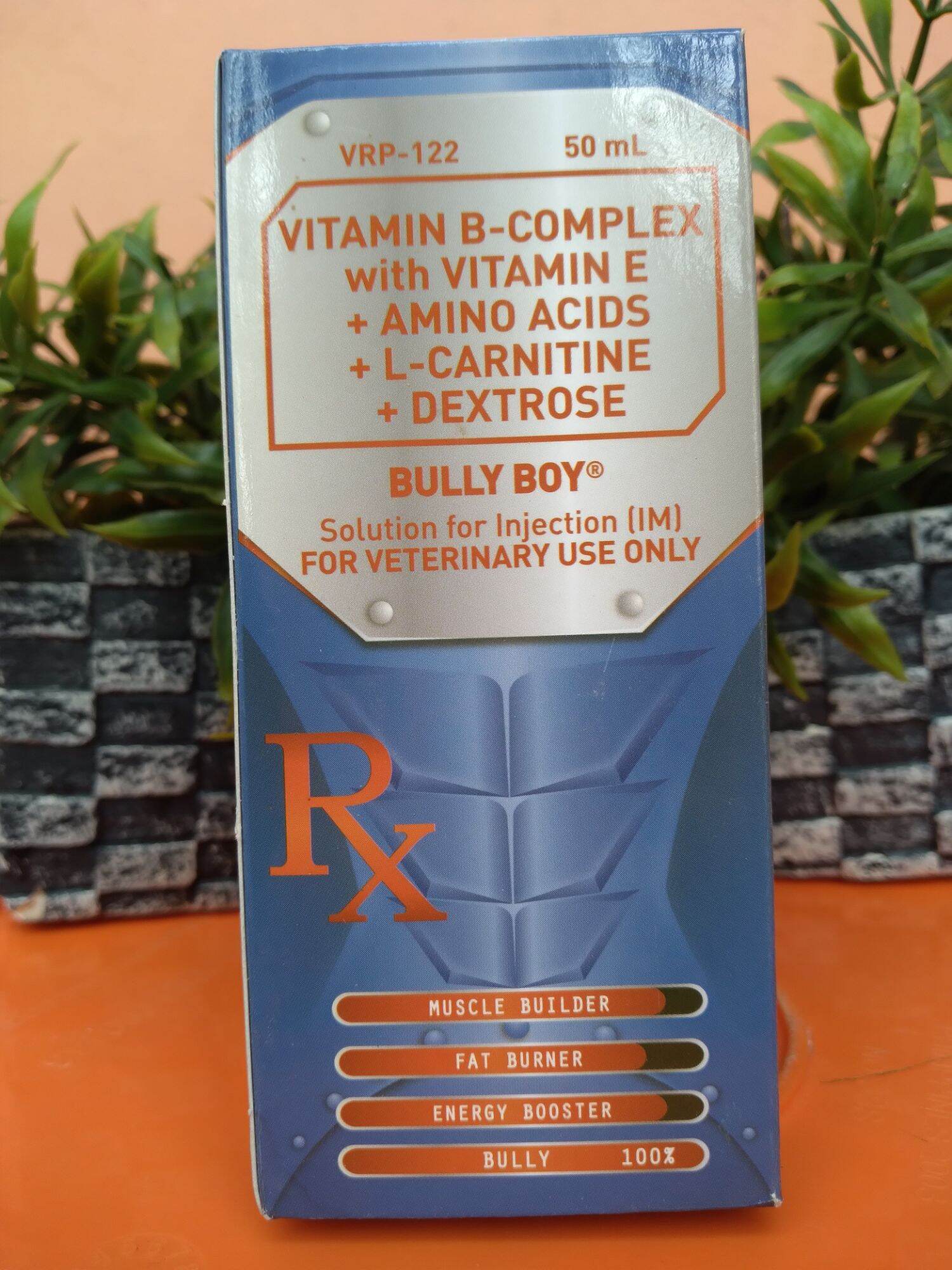 Bully Boy Vitamin B-Complex with Vitamin E+ Amino Acids + L-Carnitine ...