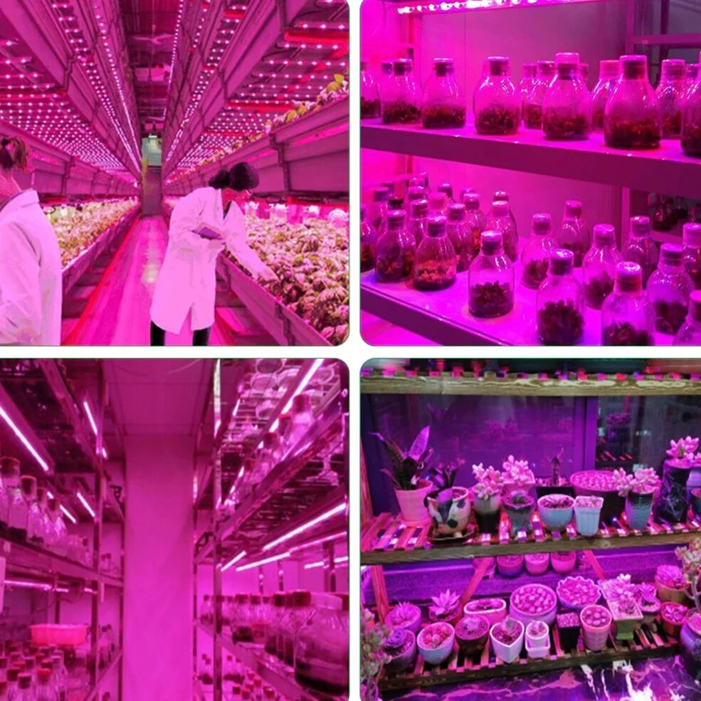 Plant Light Grow LED Strip 5V USB LED 1-5m Full Spectrum Waterproof LED ...