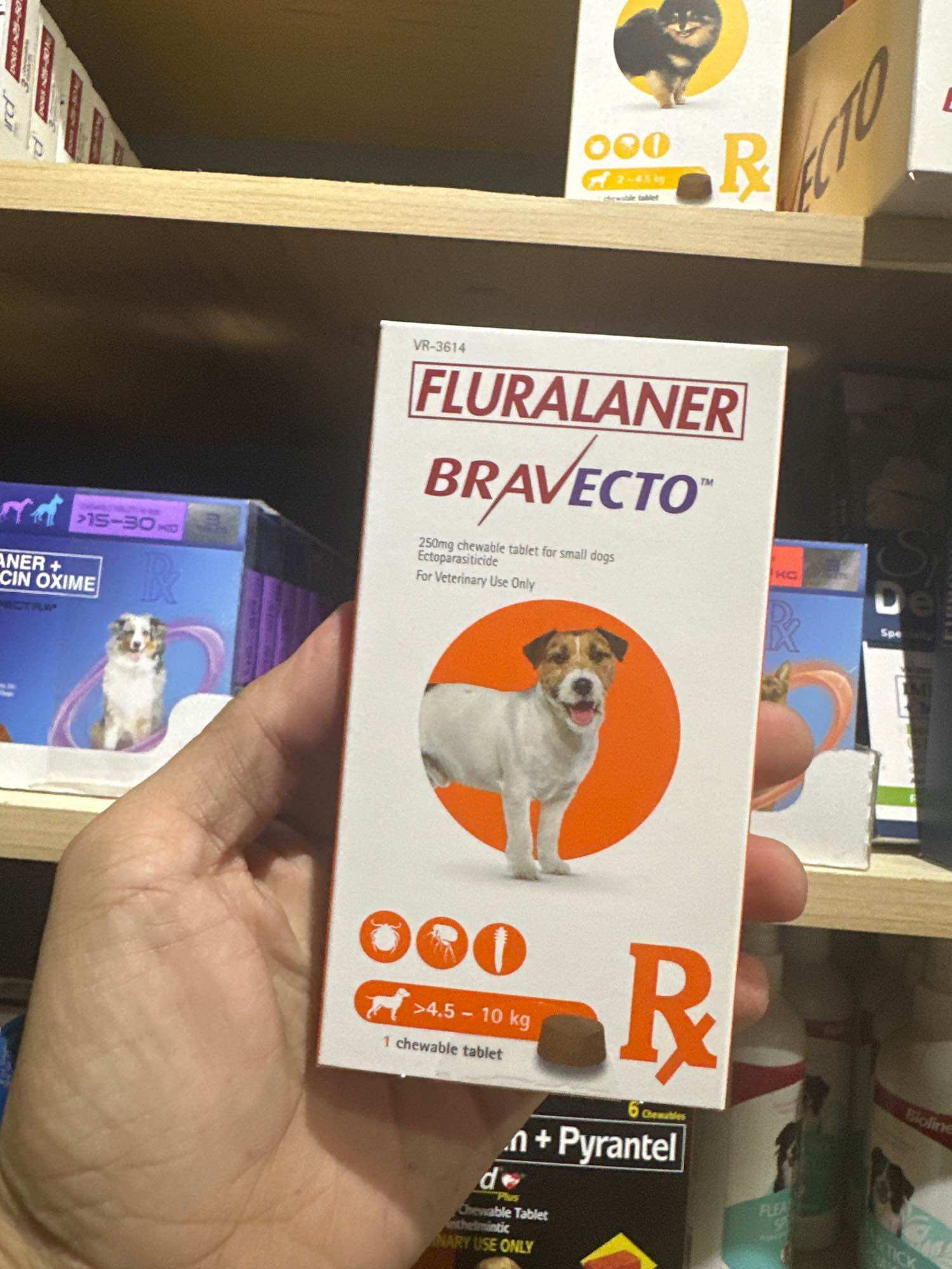 Bravecto (1Tablet w/ Sticker) | Lazada PH