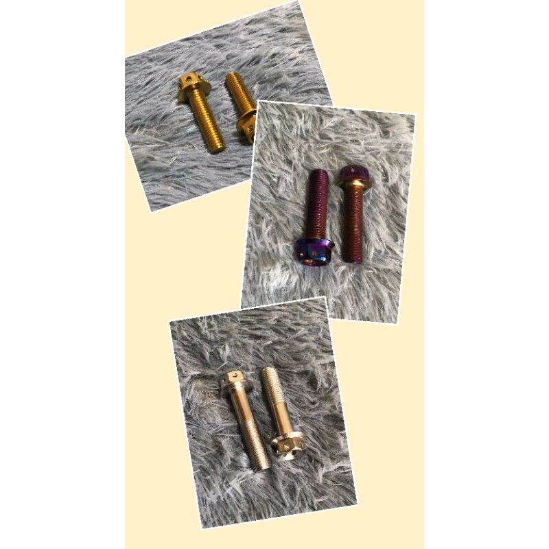 10x45 swing arm bolt universal ( heng | Lazada PH