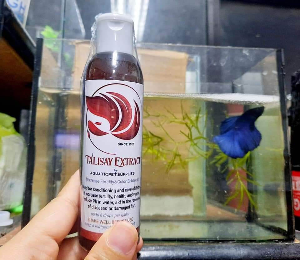 TALISAY EXTRACT FOR BETTA CONDITIONING, TALISAY FOR AQUARIUM NEEDS ...