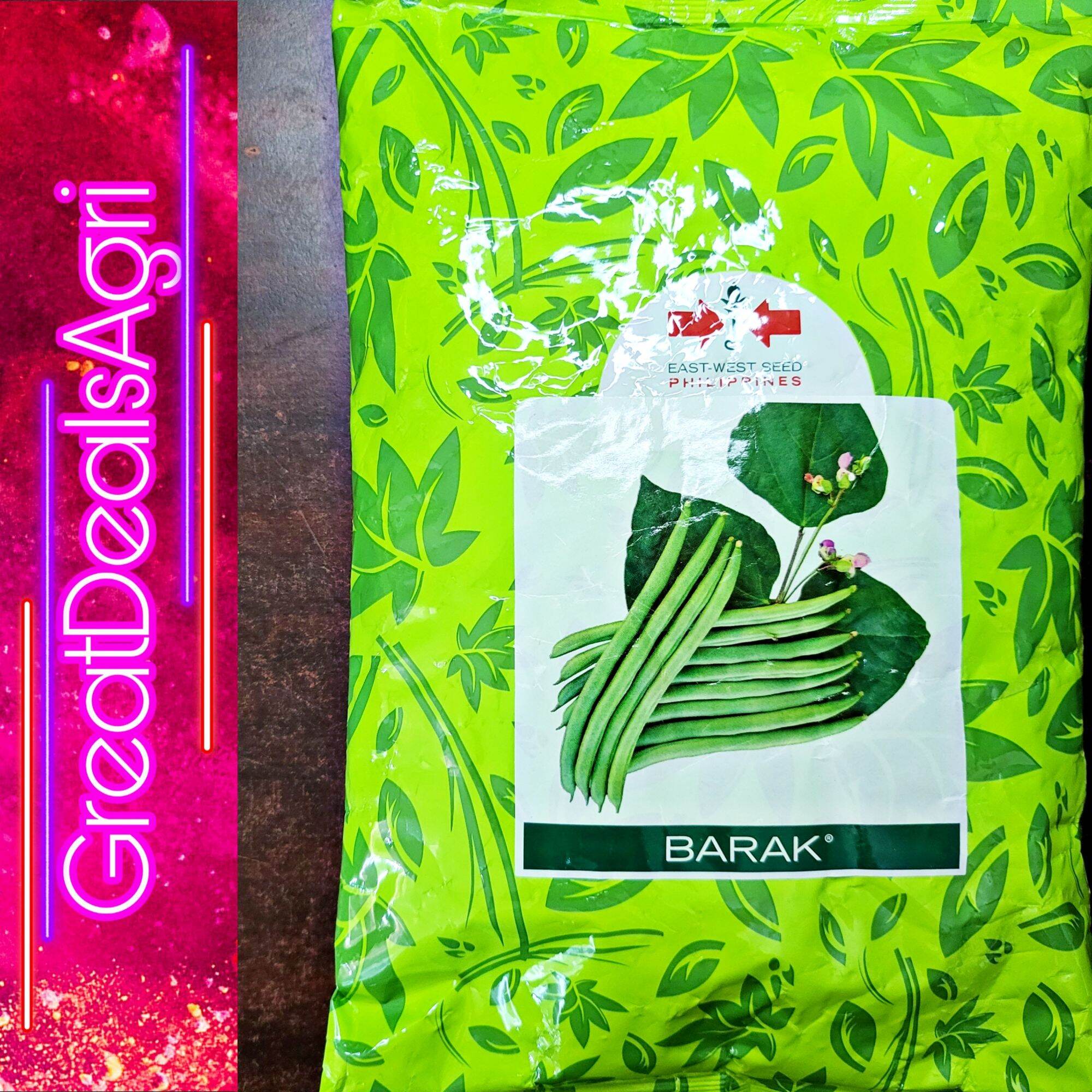 BARAK SNAP BEANS OPV BAGUIO BEANS SEEDS (KILO) EAST WEST SEEDS | Lazada PH