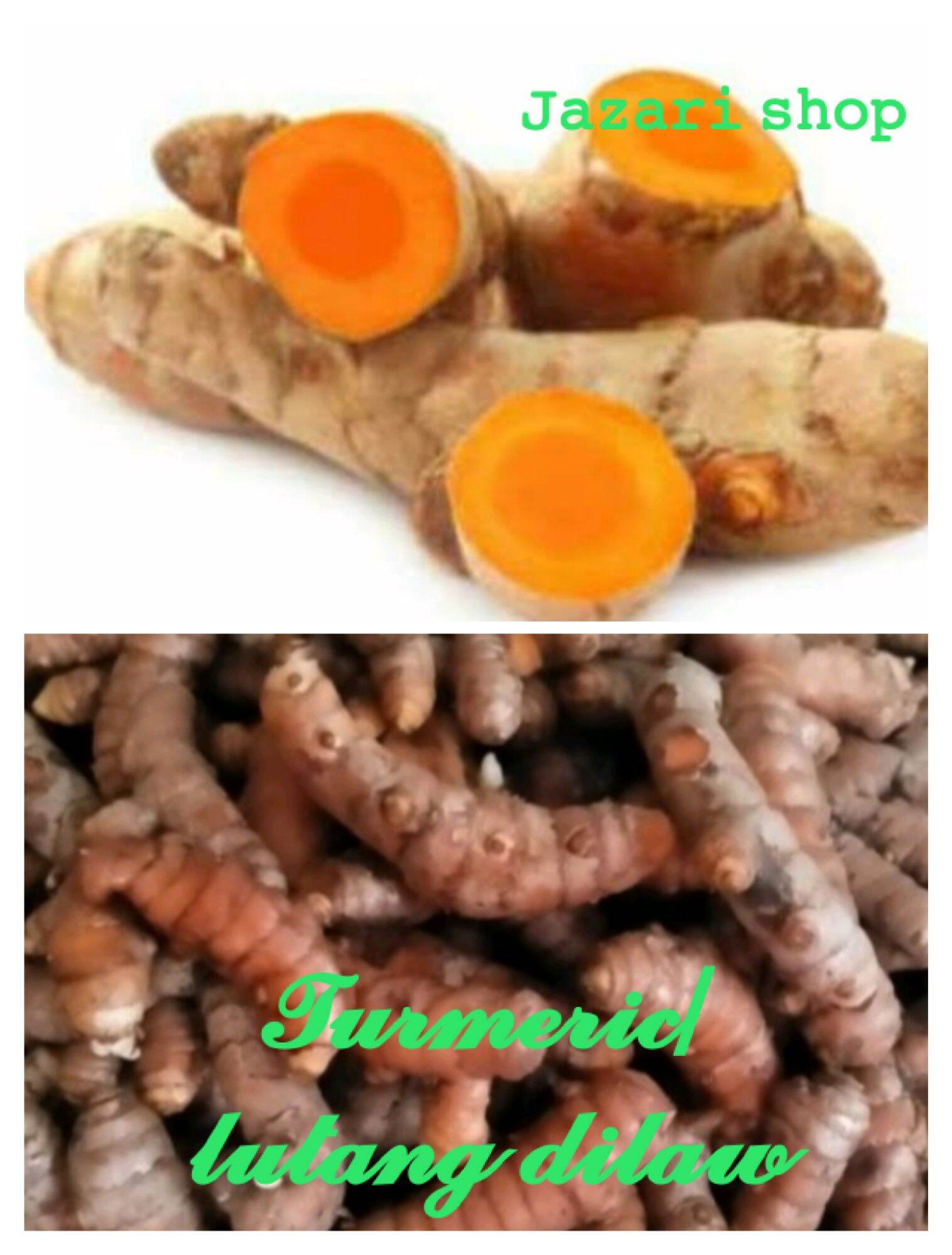 Turmeric Luyang Dilaw Fresh Harvest 1/2 kilo | Lazada PH