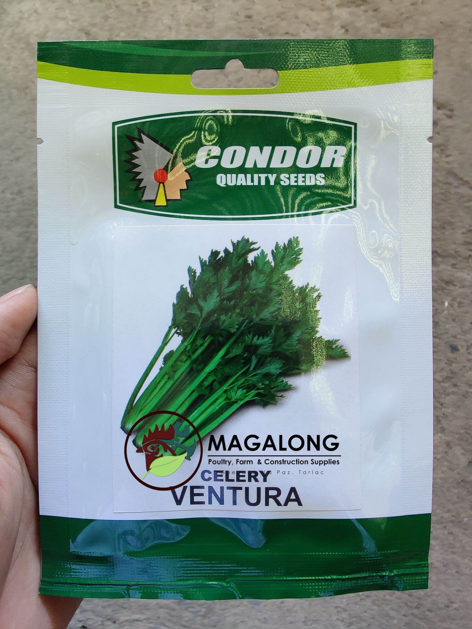 CONDOR SEEDS - CELERY SEEDS - VENTURA 2.2 Grams | Lazada PH