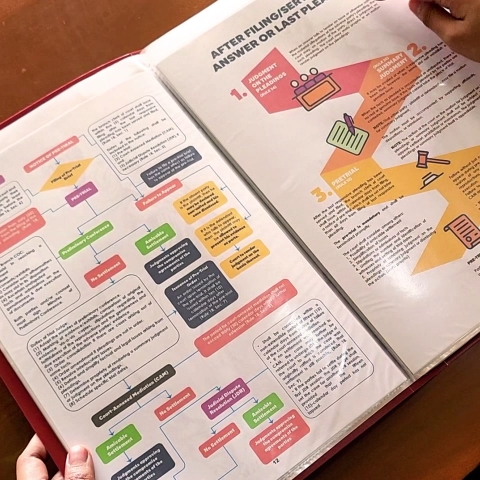 Law School Flowchart Infographic | Lazada PH