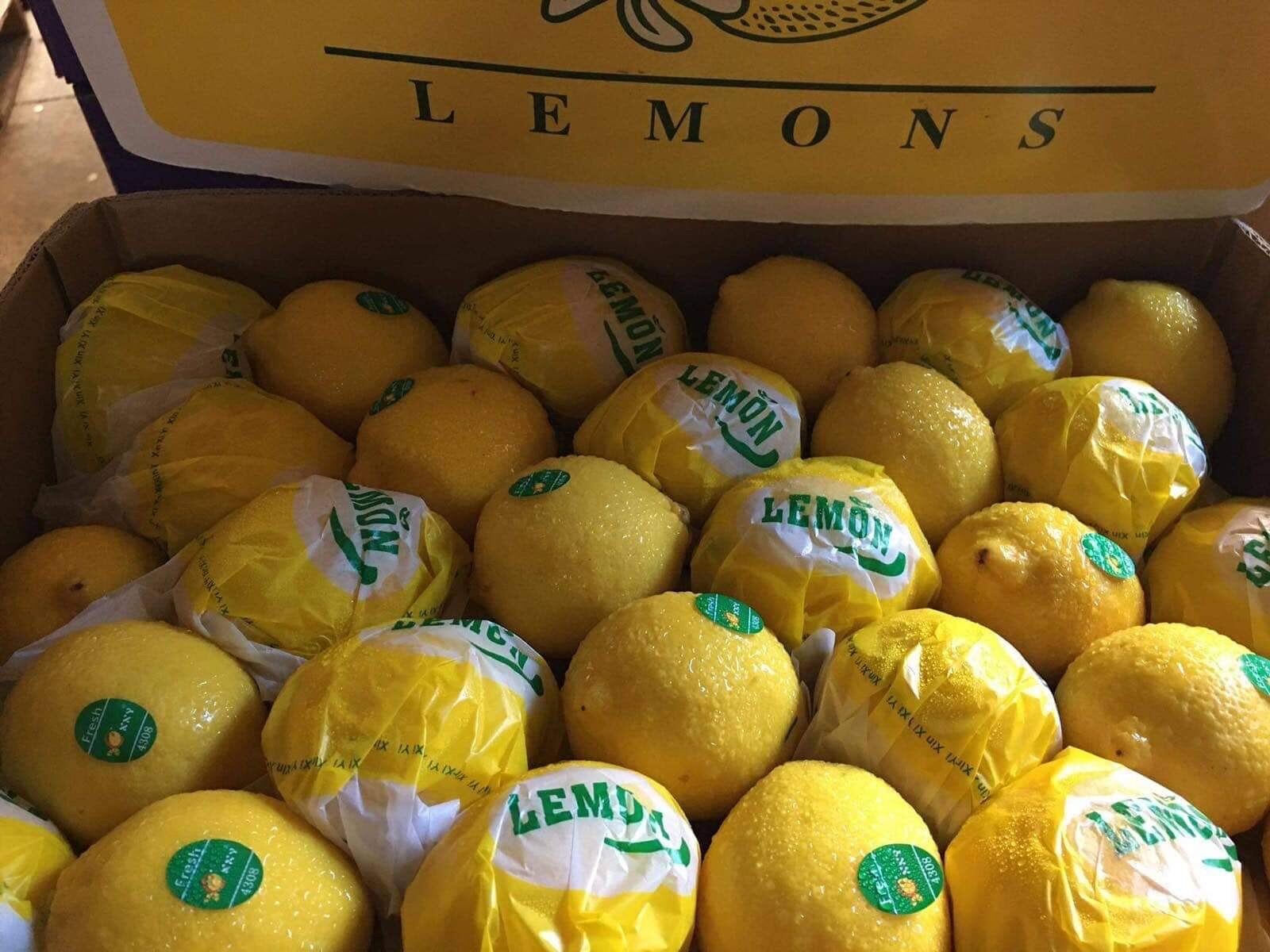 Lemon Fresh Fruit Fruits Yellow 1 kg per order | Lazada PH