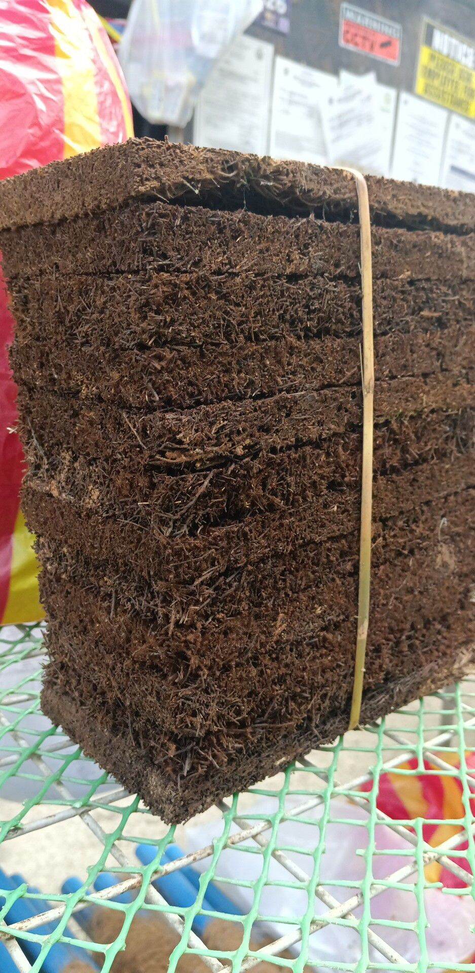 Organic Fern Slab For Orchids Good for Trailing And Hanging Live Plants ...