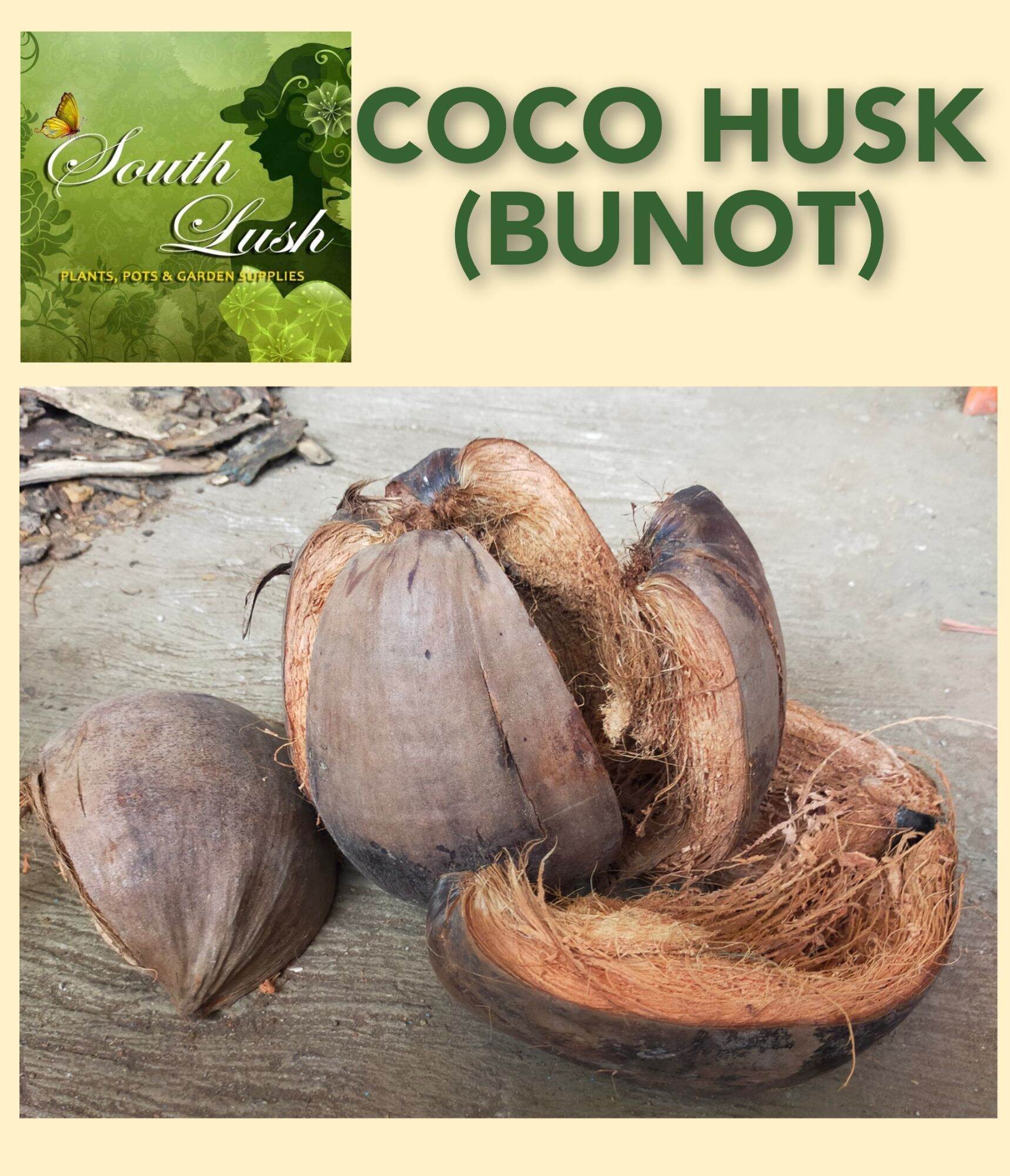 Coco Husk (Bunot) for Orchids or other Plants | Lazada PH