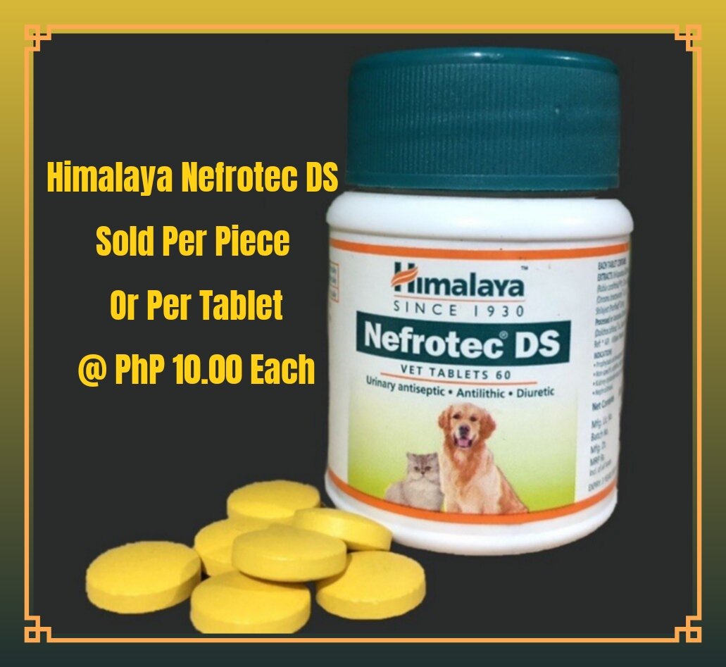 Himalaya Nefrotec DS Urinary Antiseptic, Antilithic and Diuretic ...