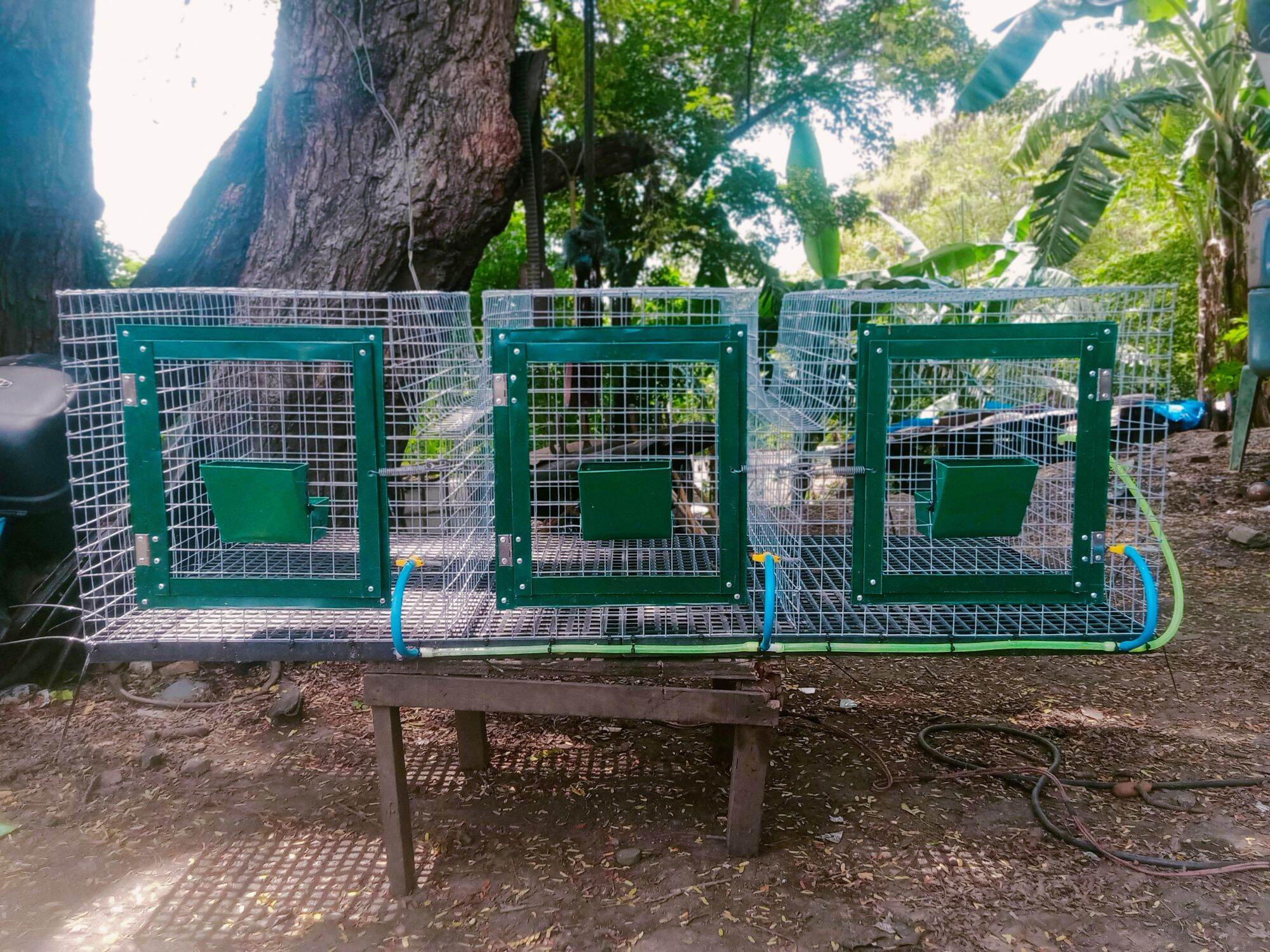 RABBIT CAGE(TRIPLE CAGE FRAME DOOR) | Lazada PH