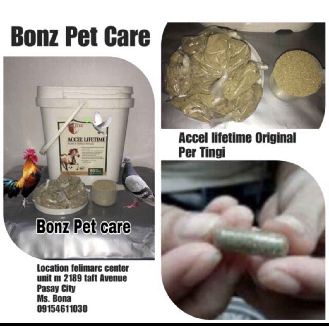 Original and Authentic Accel lifetime tingi 10g | Lazada PH