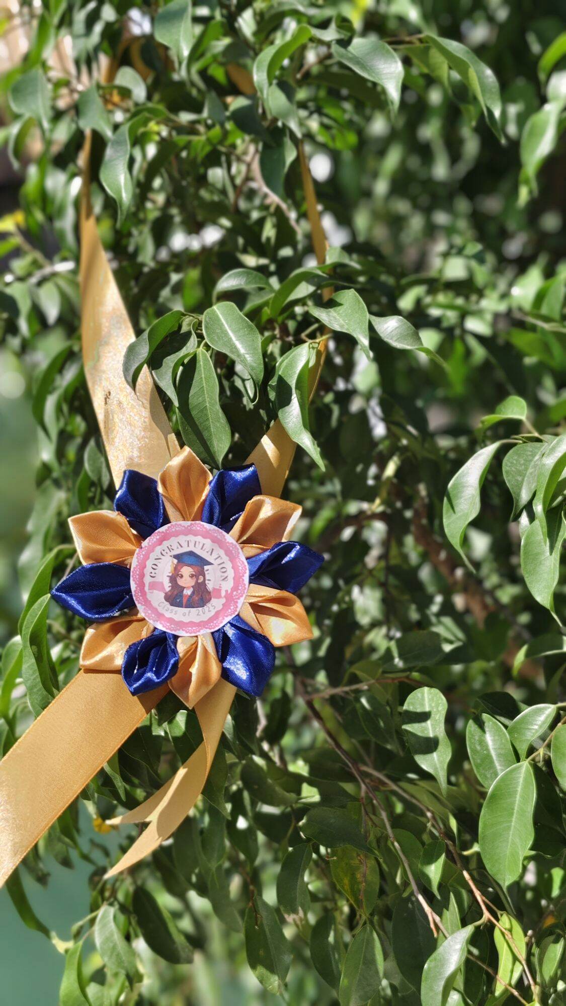 Graduation Sash Garland – Class of 2025 | Lazada PH