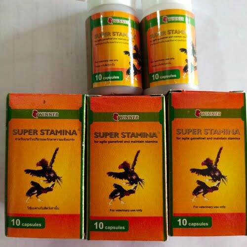 vitamins stamina for fighting cock "Super stamina" | Lazada PH