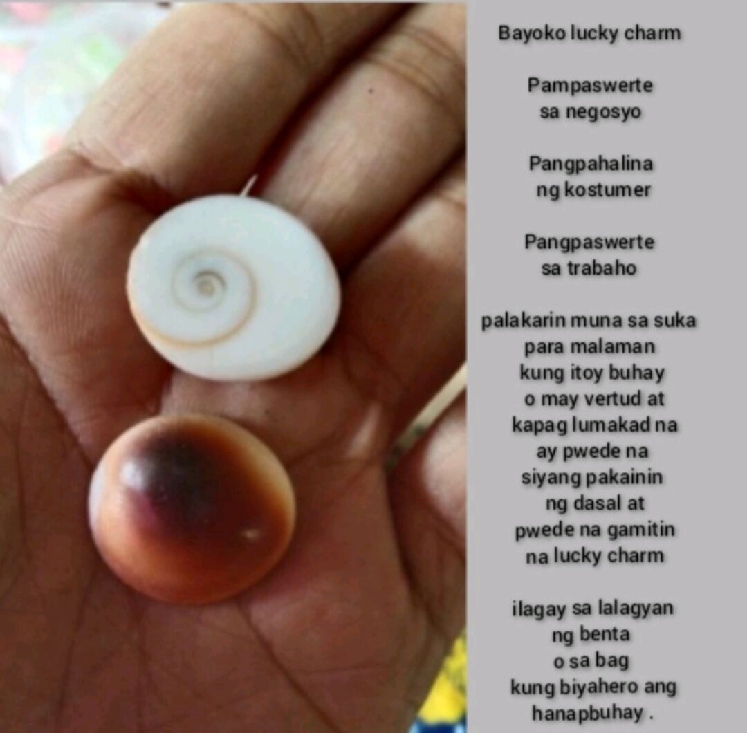 BAYUKO with FREE POUCH | wishing stone,luckycharm in business,gambling ...