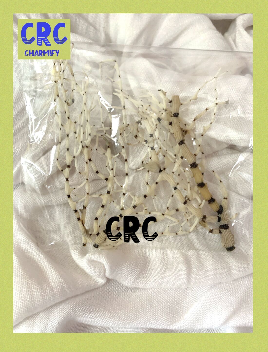White Corals/ Baleteng Dagat | Lazada PH