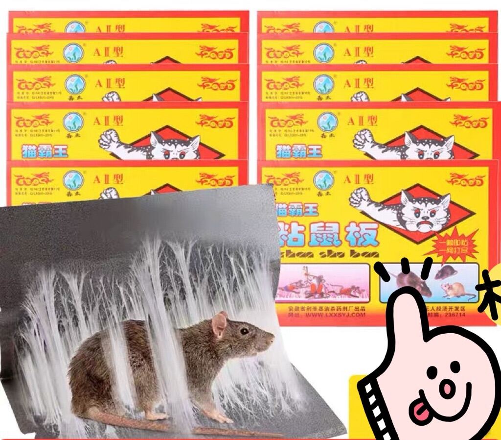 10PCS Mouse Sticky Mice Rodent Glue Board Bait Trap | Lazada PH