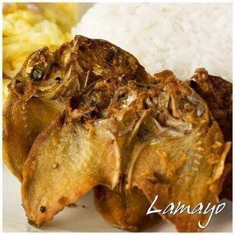 Danggit Lamayo 500gms | Lazada PH