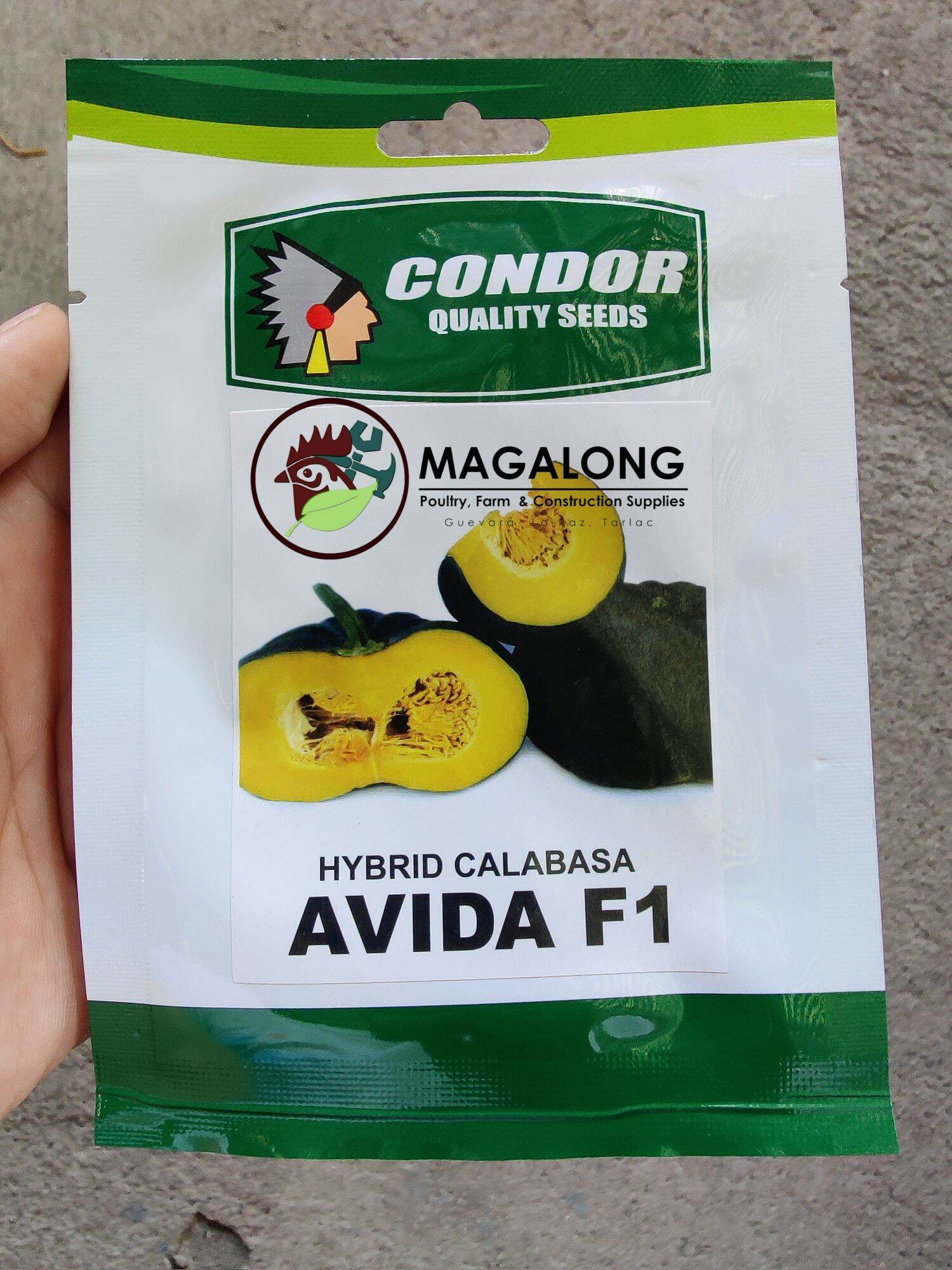CONDOR SEEDS - CALABASA SEEDS - AVIDA F1 HYBRID 4 Grams | Lazada PH