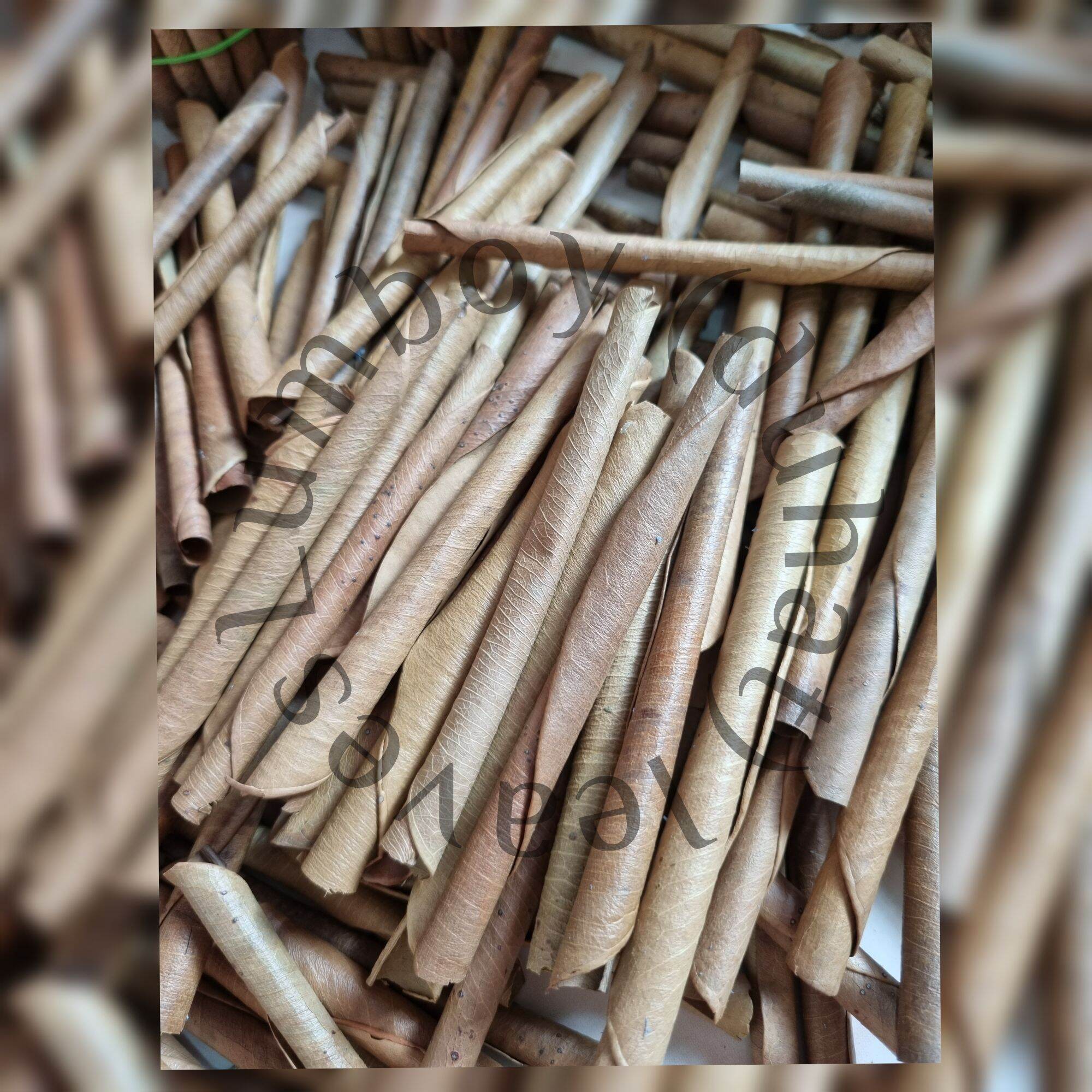 Lumboy (PLUM leaves) (dahon ng duhat) dried only 50pcs | Lazada PH