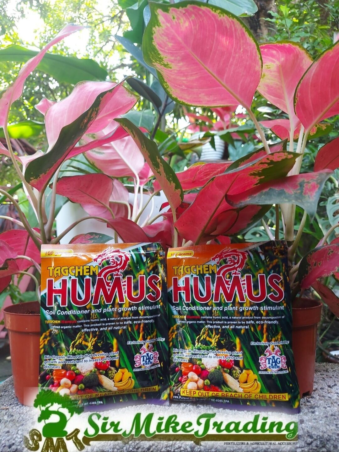 Dragon Humus 100 grams Soil Condition and Plant Growth Stimulant ...