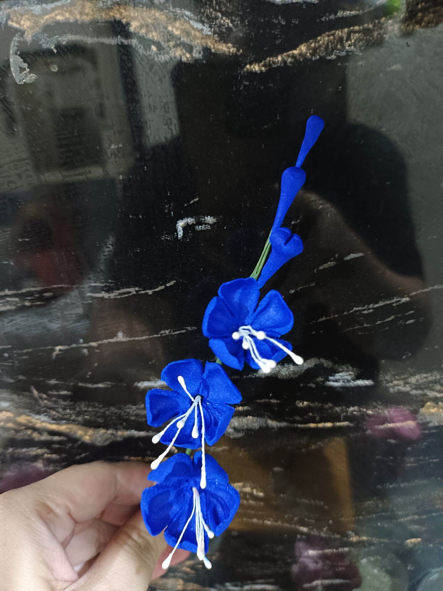 royal blue spring edible flower | Lazada PH