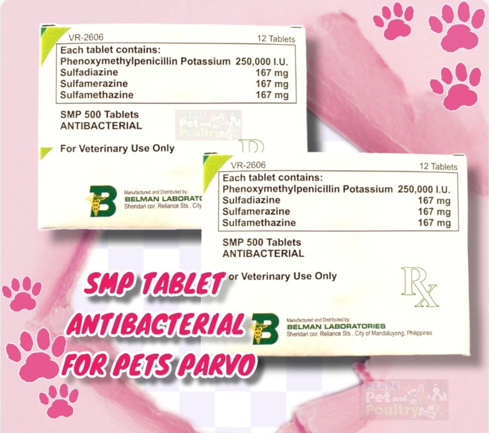SMP 500 TABLET FOR PETS SOLD PER PIECE | Lazada PH