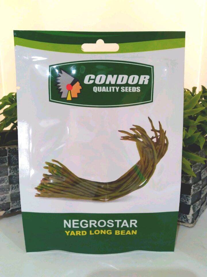Negrostar Yard Long Bean Condor Sachet 10gms | Lazada PH