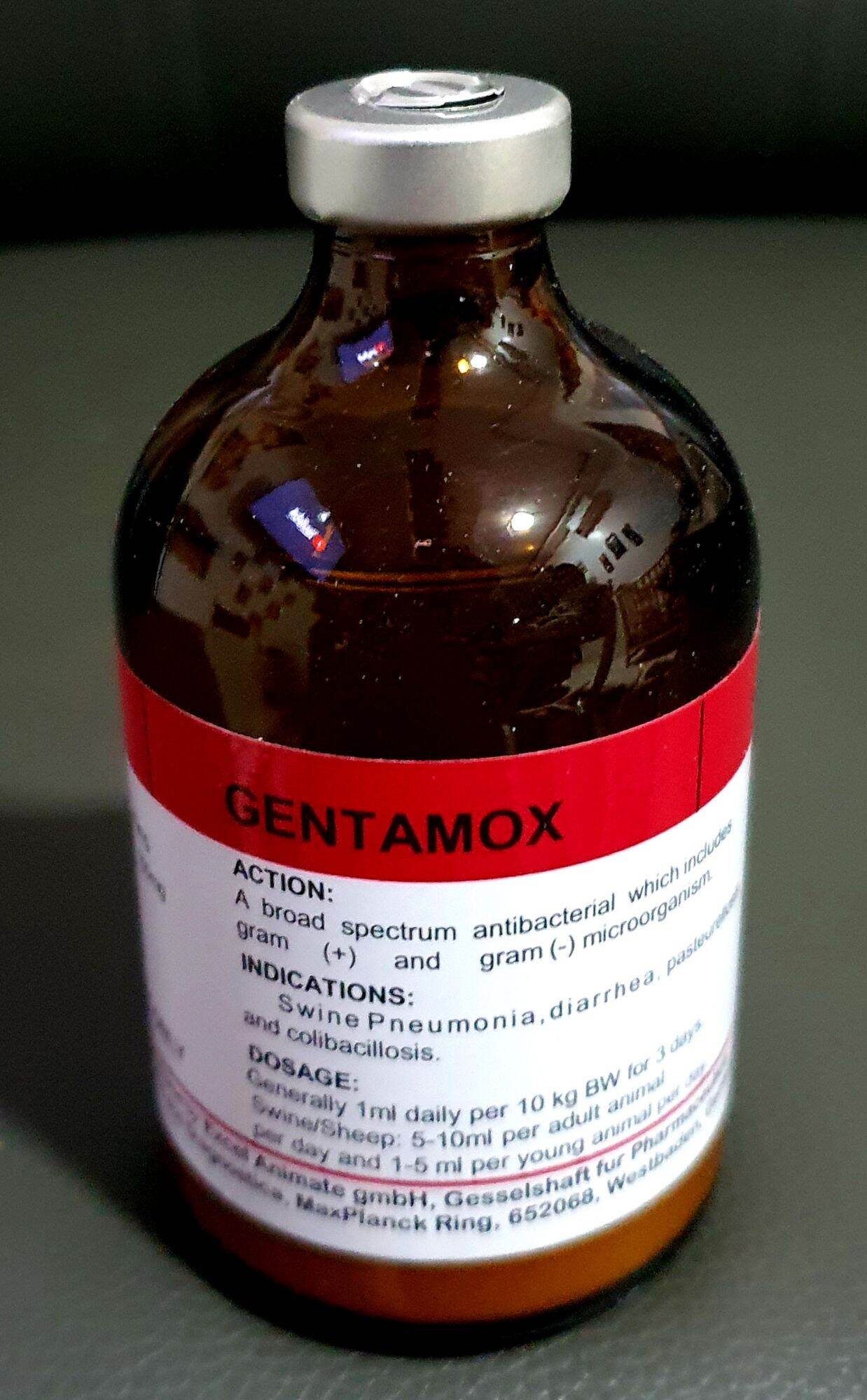gentamox 100 ml | Lazada PH