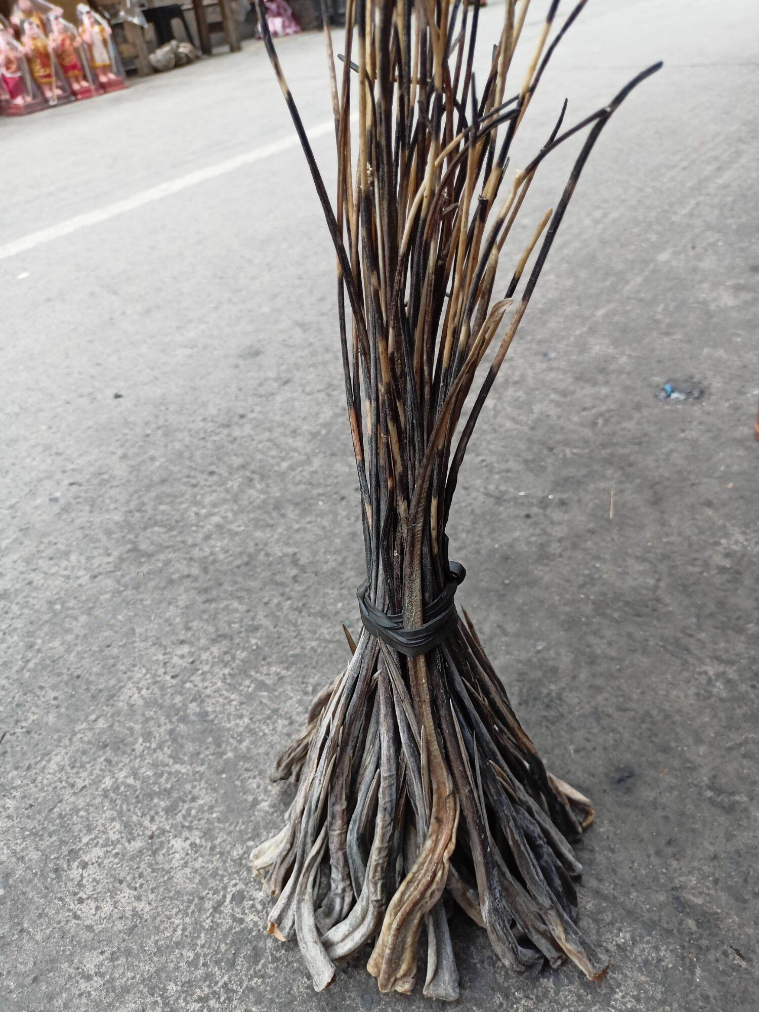 buntot pagi/sting ray small 1 PCs.pangontra aswang.lamang lupa at kulam ...