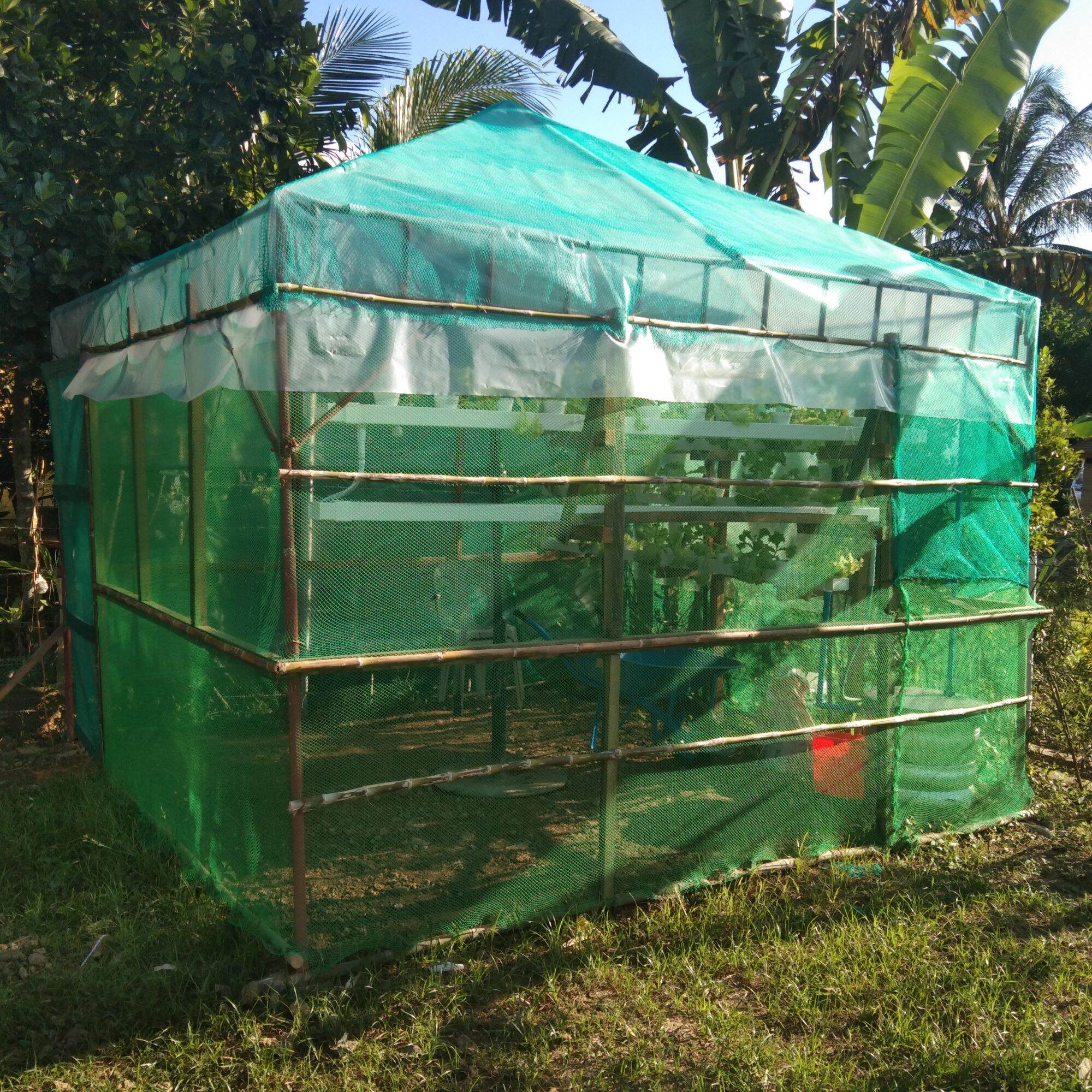 1 ROLL X 90 METERS (6-8FT HEIGHT 3/4cm HOLE SIZE) GOOD QUALITY / NET ...