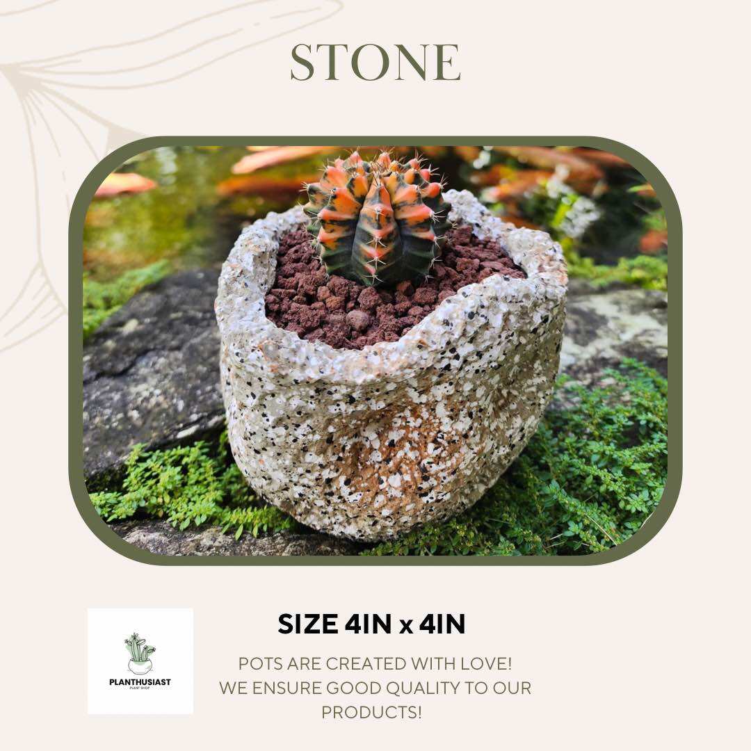STONE TERRACOTTA CLAY POTS 4x4 | Lazada PH