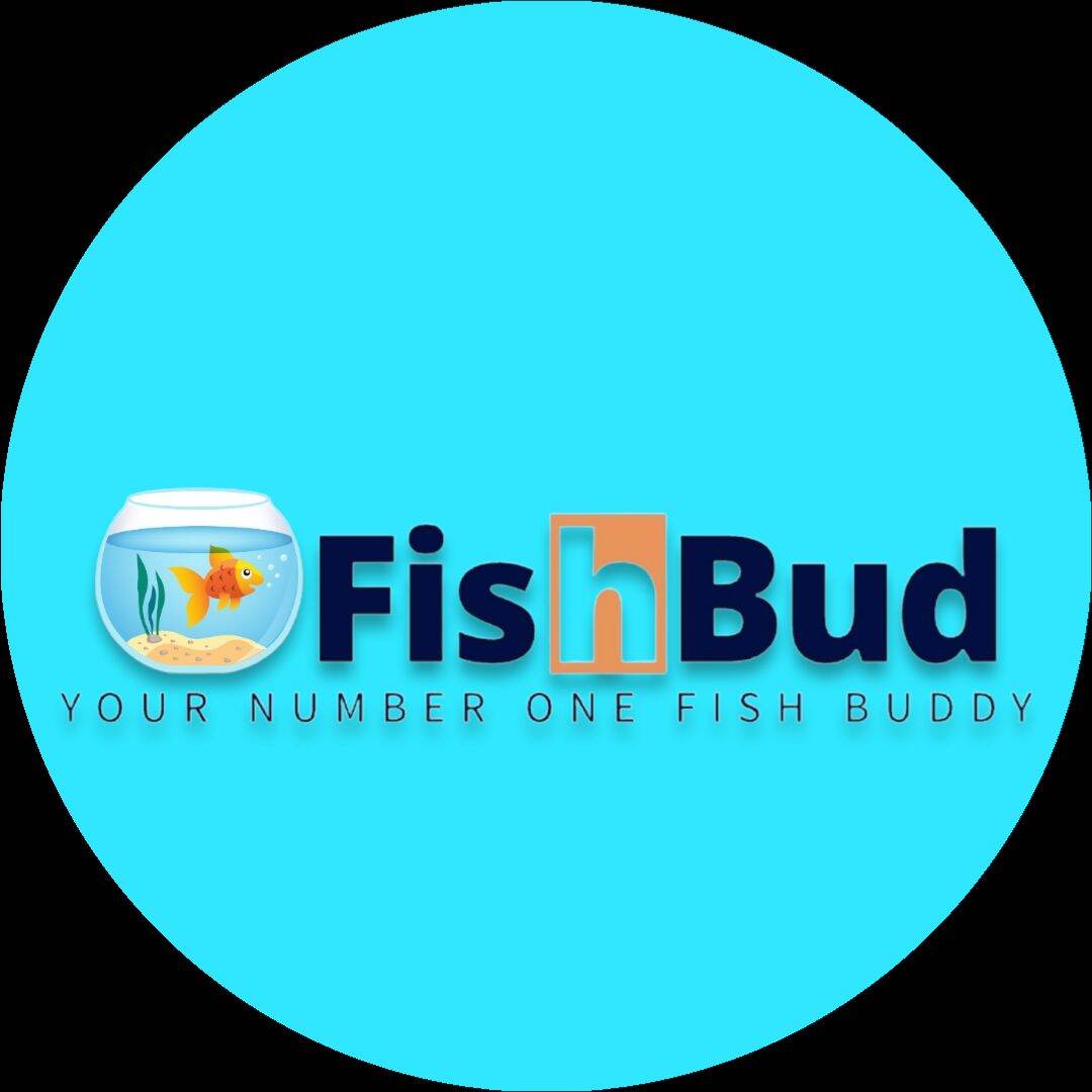 FishBud Official Store in the Philippines, Online Shop 04 2025