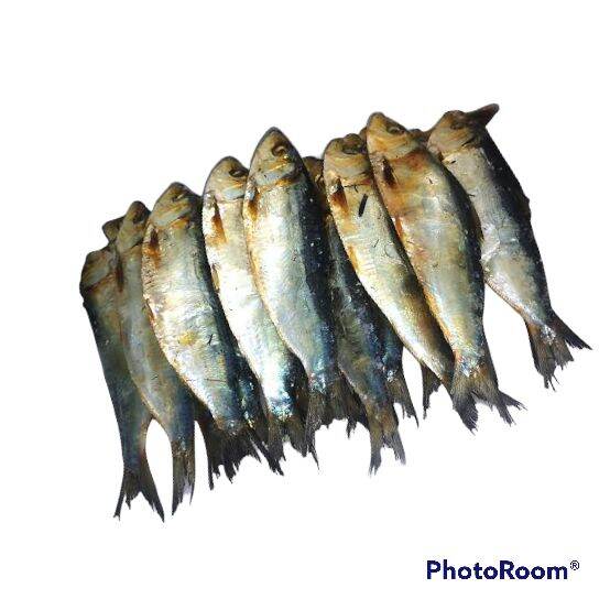 DRIED (TUYO) SALINAS FISH 250g | Lazada PH