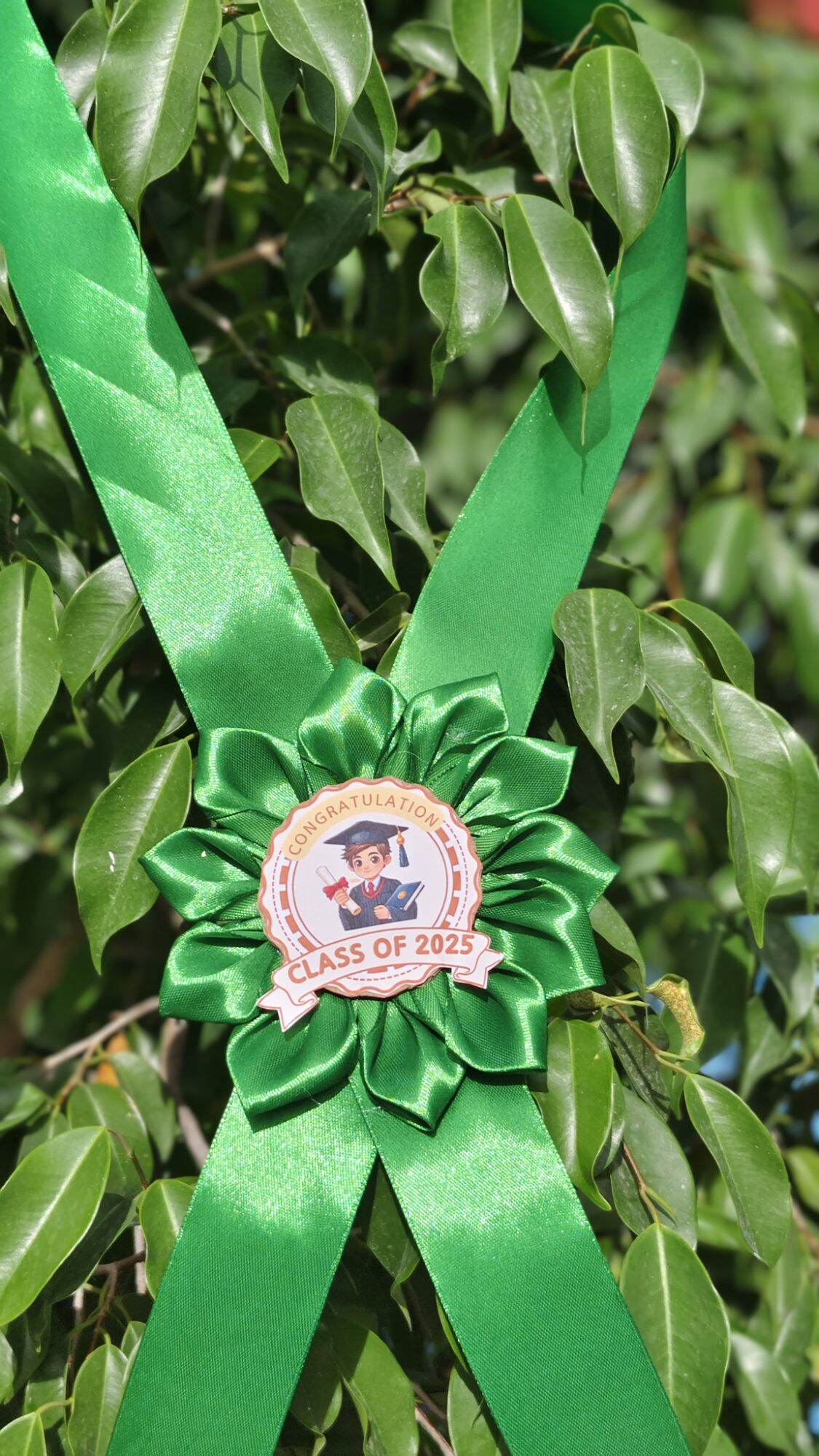 Graduation Sash Garland – Class of 2025 | Lazada PH