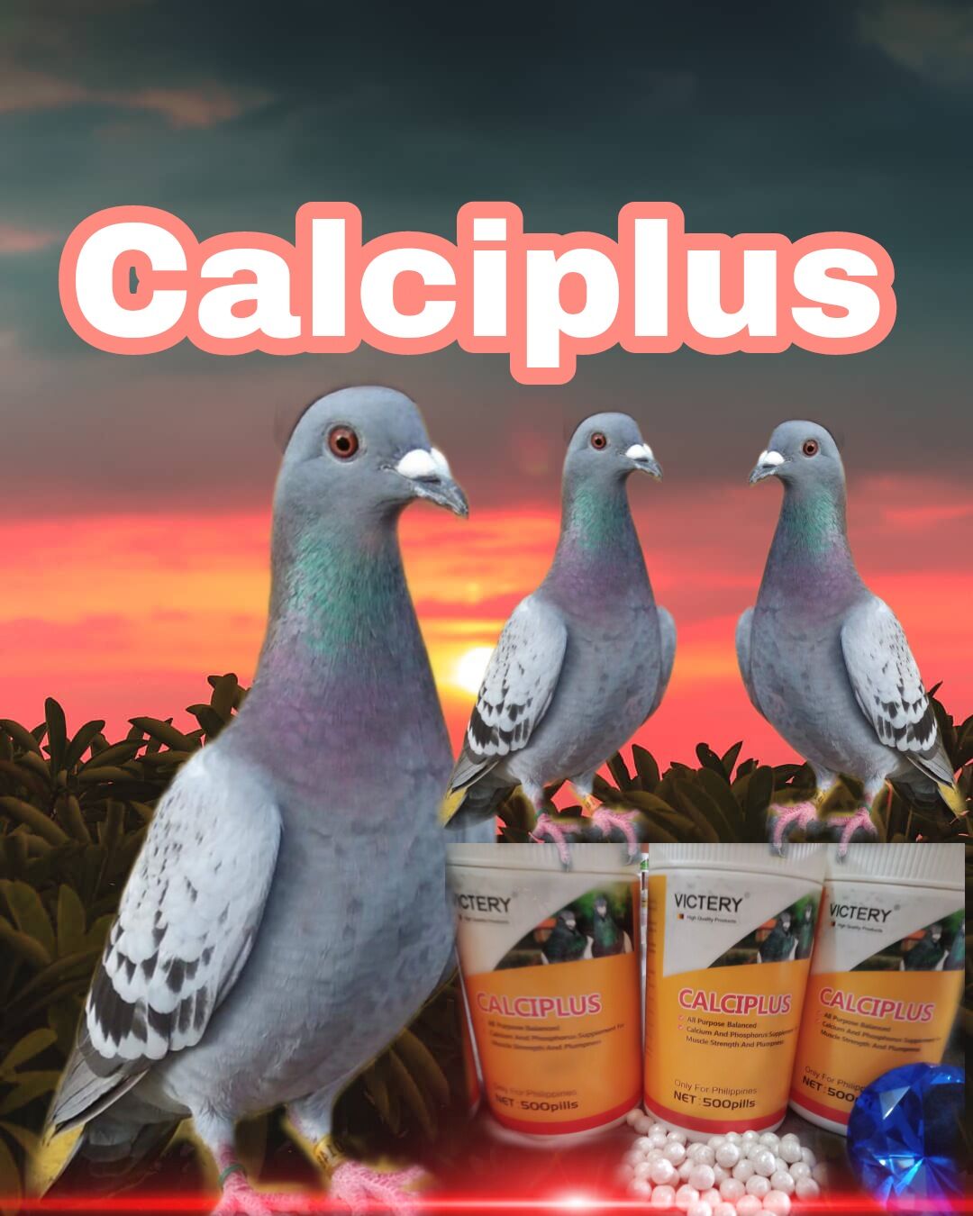 Calciplus (50 pcs )(Calcium for Racing Pigeon) | Lazada PH