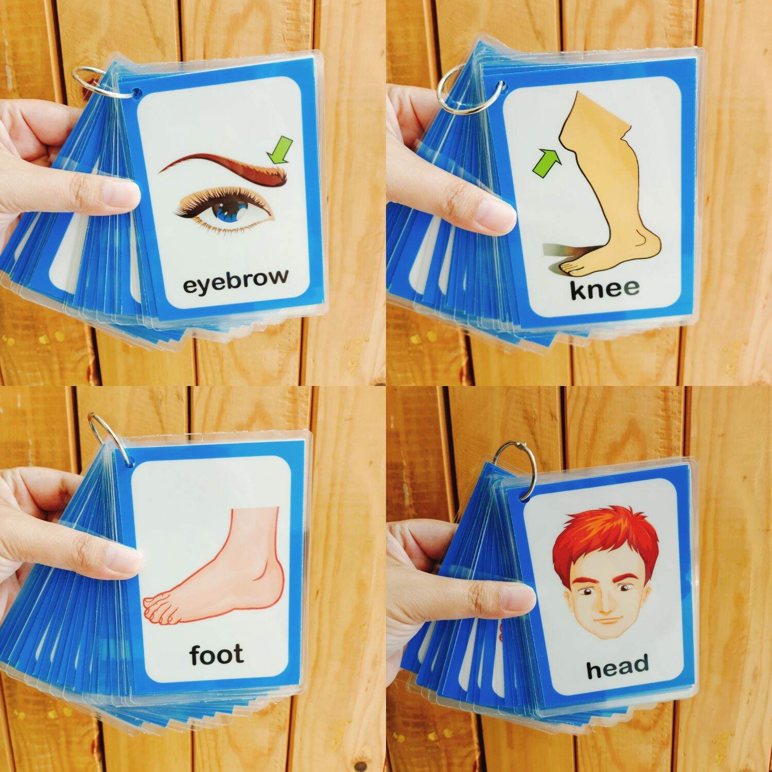 body parts flashcards 17 pcs parts of the body laminated High quality ...