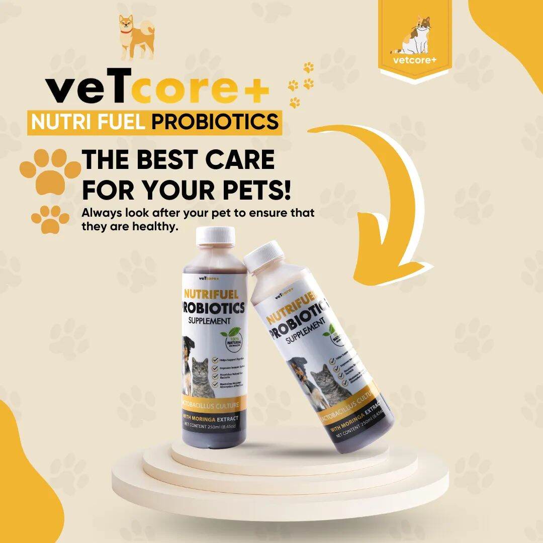 VeTcore+ NUTRIFUEL PROBIOTIC SUPPLEMENT 250ml | Lazada PH