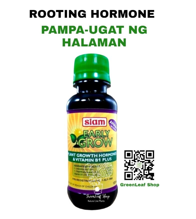 Siam Rooting Hormone "Pampa-ugat sa itatanim na Halaman" | Lazada PH