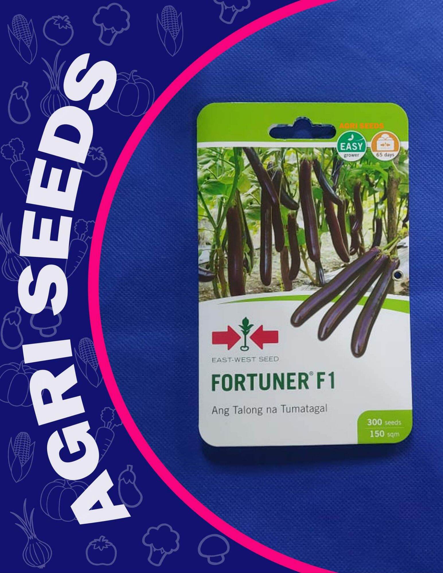 Fortuner F1 (300 seeds) Hybrid Eggplant / Talong Seeds by East West ...