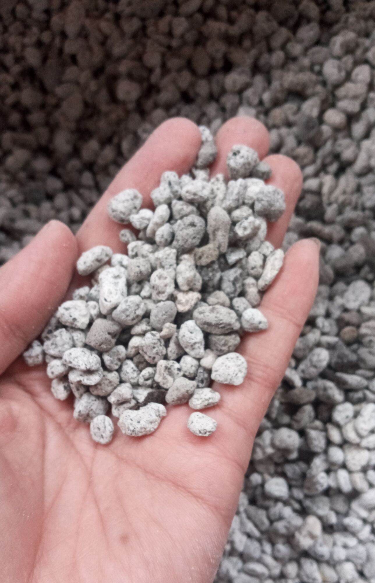 Pumice Stones Matanghito Size | Lazada PH