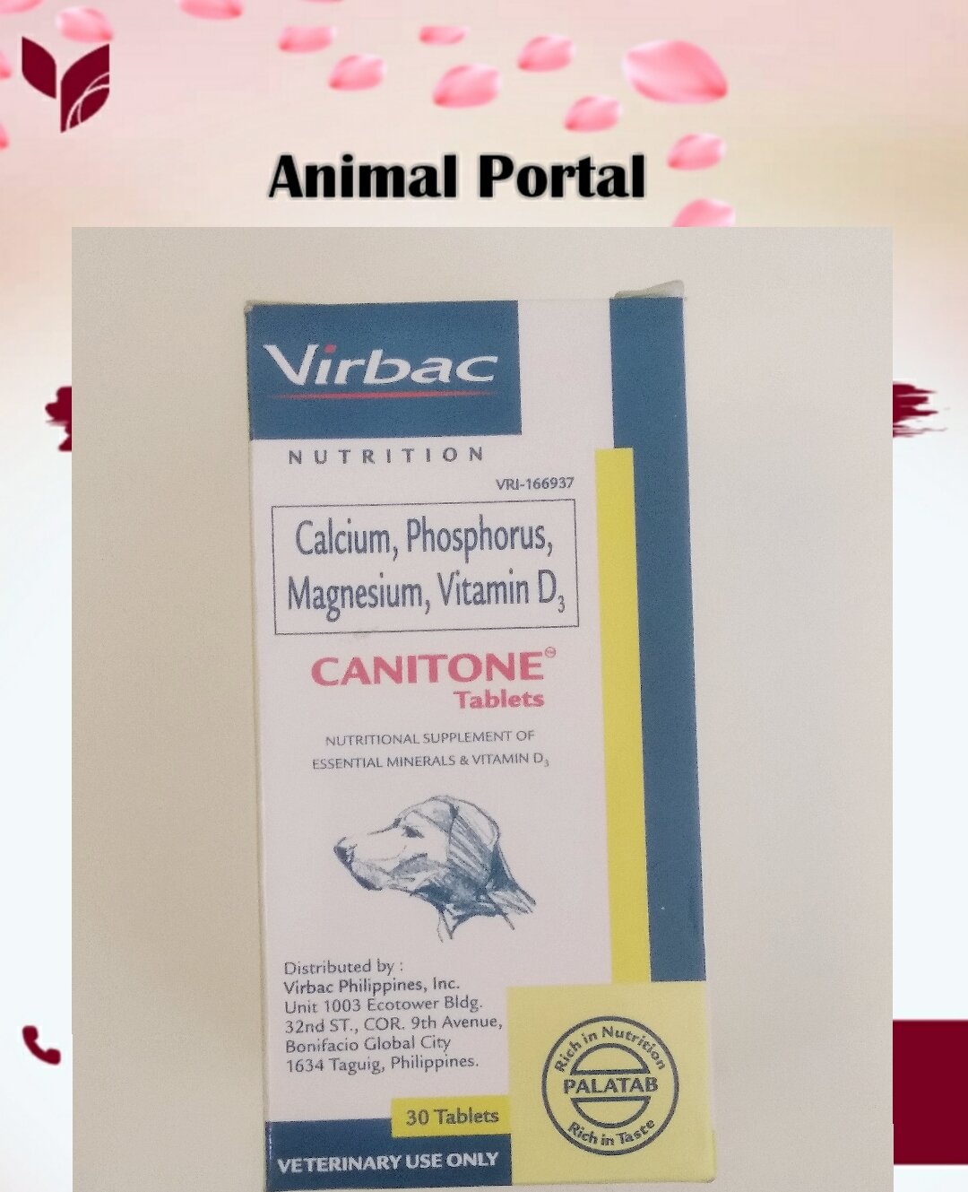 Virbac Canitone (30 Tablets) | Lazada PH