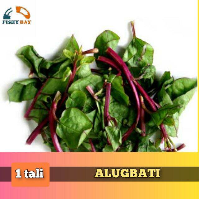 VEGETABLE ALUGBATI LEAVES 1 TALI | Lazada PH