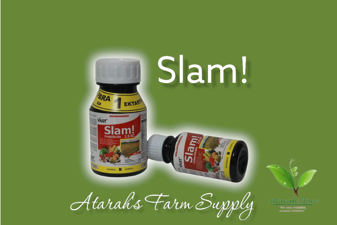 SLAM Insecticide | Lazada PH
